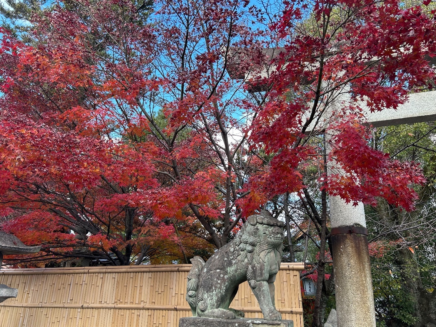 心機一転: 夢は叶う